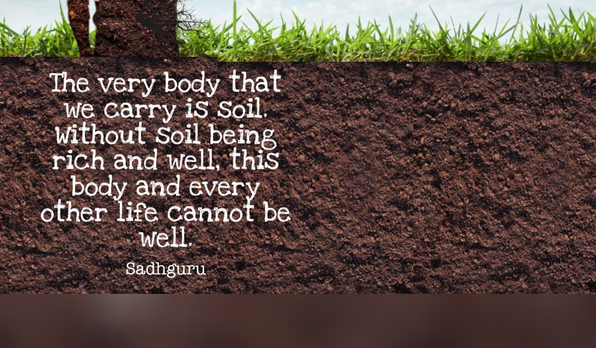 Save Soil - Conscious Planet - Global Movement